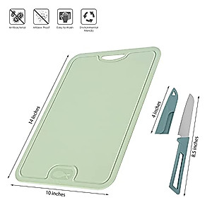 Gintan TPU Cutting Board, BPA-Free, With Knife and JuiceGroove,Scratch Resistant Flexible Cutting Boards for Kitchen, Dishwasher Safe, Easy-Grip Handle, Non-Slip