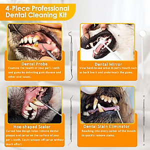 Opdent Plaque Remover for Teeth - Electric Toothbrush for Dogs Pet Brush Set,Electric Five Modes + 4 Cleaning Head, Effective Care of Teeth, pet Must Have, Help Dog Oral Health. (Black, Large)