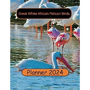 Great White African Pelican Birds Planner 2024