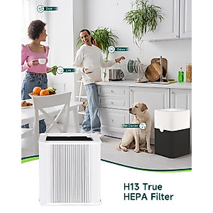 211+ Replacement Filter for Blue Pure 211+ Air Purifier (Non-Auto), H13 True HEPA & Foldable Activated Carbon Filter