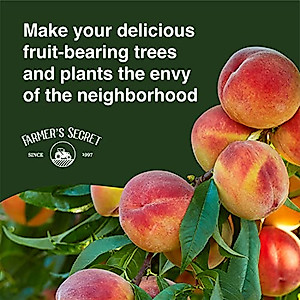 Farmer’s Secret - Fruit & Bloom Booster - Strengthen Roots and Increase Yield - Root and Foliar Plant Food - Made for a Variety of Fruits (16oz)