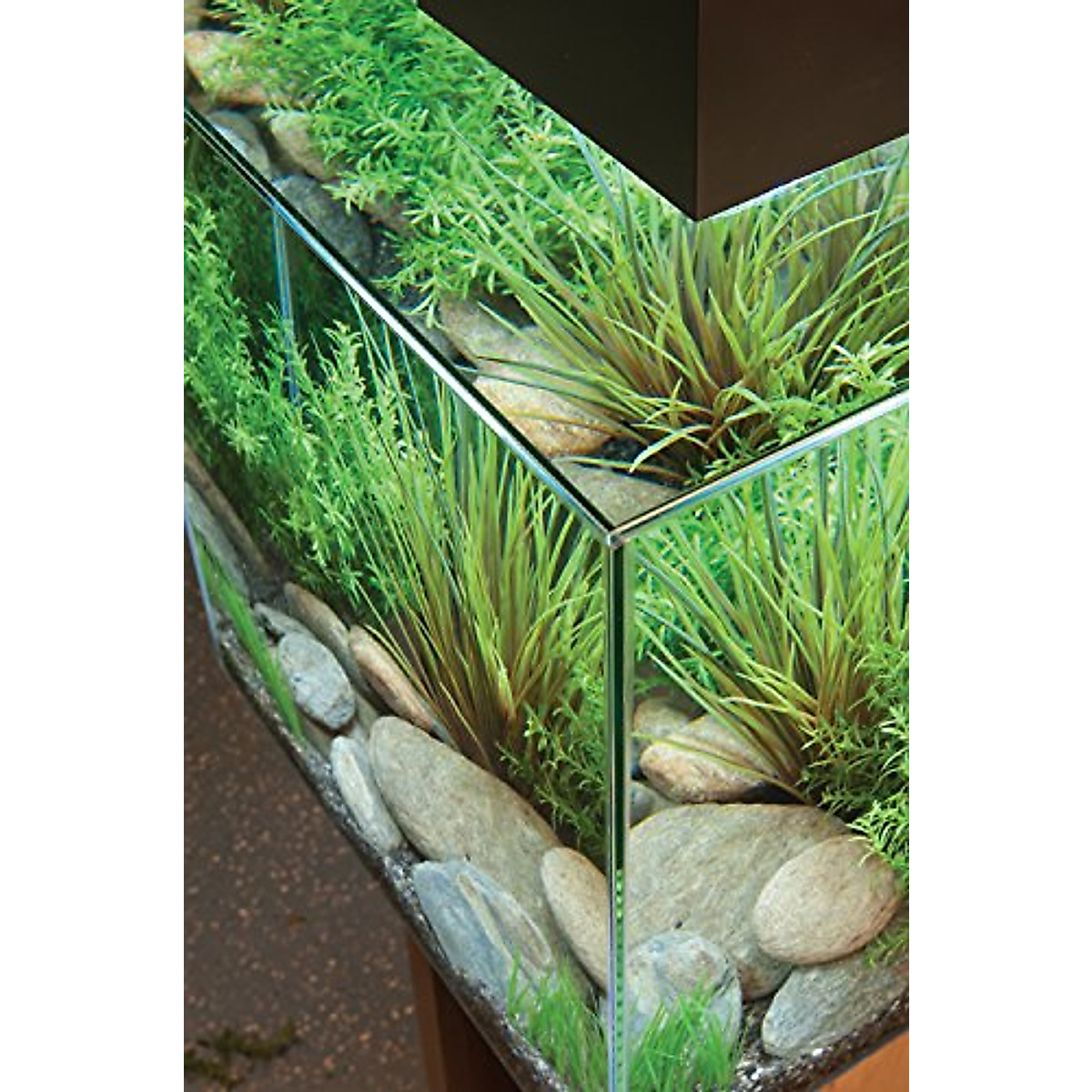 Fluval Edge Aquarium Kit, 6 Gallon, Black