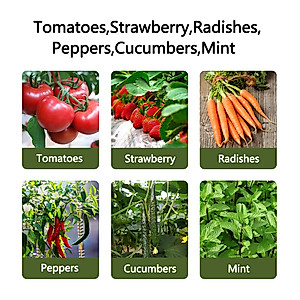 Easeen 12 Set Seedling Trays Seed Starter Kit- 144 Cells Plant Grow Kit, Garden Seed Propagator Premium Seedling Dome and Tray for Seeds Growing (12 Cells Per Tray)