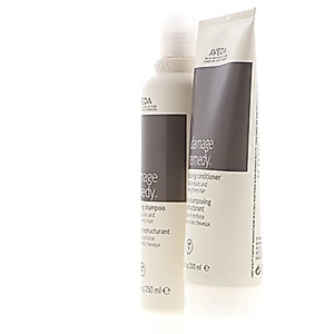 Aveda Damage Remedy Shampoo 8.5 oz & Conditioner 6.7oz Duo