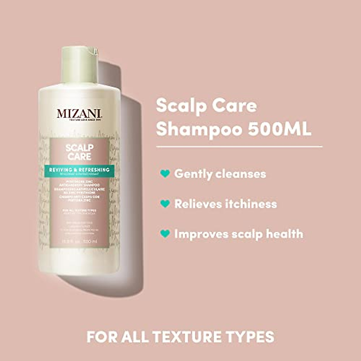 Mizani Scalp Care Dandruff Shampoo | Pyrithione Zinc | Cleanses Hair & Scalp | For Curly Hair | 16.9 Fl Oz