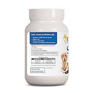 Ayush Pet Skin Plus, Neem Supplement for Healthy Skin and Coat, Supports Gut and Immunity, 90 Capsules