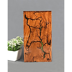 Lichtenberg Figure Urn for Human Ashes Rosewood and Resin Cremation urn Burial Urn Box Adult Large Funeral Ashes Urn for Adults up to 250 CB Active (Only Lichtenberg)