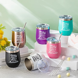 Irenare 12 Pieces Thank You Gifts Thank You for Being Awesome Inspirational Appreciation Birthday Gifts for Women Men Teacher Wife Mom Dad Sister Friends Coworkers Insulated Stainless Steel Tumbler