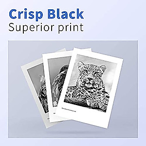 812XL Ink Cartridge myCartridge SUPRINT Remanufactured Ink Cartridge Replacement for Epson 812XL 812 XL T812XL T812 to use Workforce Pro WF-7820 WF-7840 WF-7310 EC-C7000 Printer (2 Black) 812 Ink