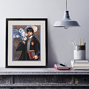 Dimensions PaintWorks Hedwig and Harry Potter Paint by Number Kit for Adults and Kids, Finished Project 11" x 14", Multicolor 15 Piece