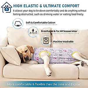 AOFITEE Dog Recovery Suit, Surgical Recovery Suit for Dog Female After Spay, Rabbit Pattern Dog Recovery Shirt for Abdominal Wounds, Anti Licking Dog Onesie Jumpsuit E-Collar Cone Alternative 3XL