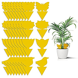 36 Pack Fungus Gnat Traps for House Plants, Yellow Sticky Traps for Indoor Outdoor Use to Get Rid of Whitefly Mosquitoes Fungus Gnats Thrips Leafminer Flying Insects Protect Your Plants