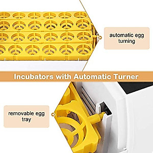 Egg Incubator 48 Eggs Fully Automatic Digital Poultry Incubator with Fahrenheit Temperature and Auto Turning for Hatching Chicken Duck Goose Quail Bird, Egg Hatcher Breeder Incubator Gift Set for Kids