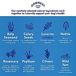 Dorwest Keepers Mix (Pot Size: 500G)