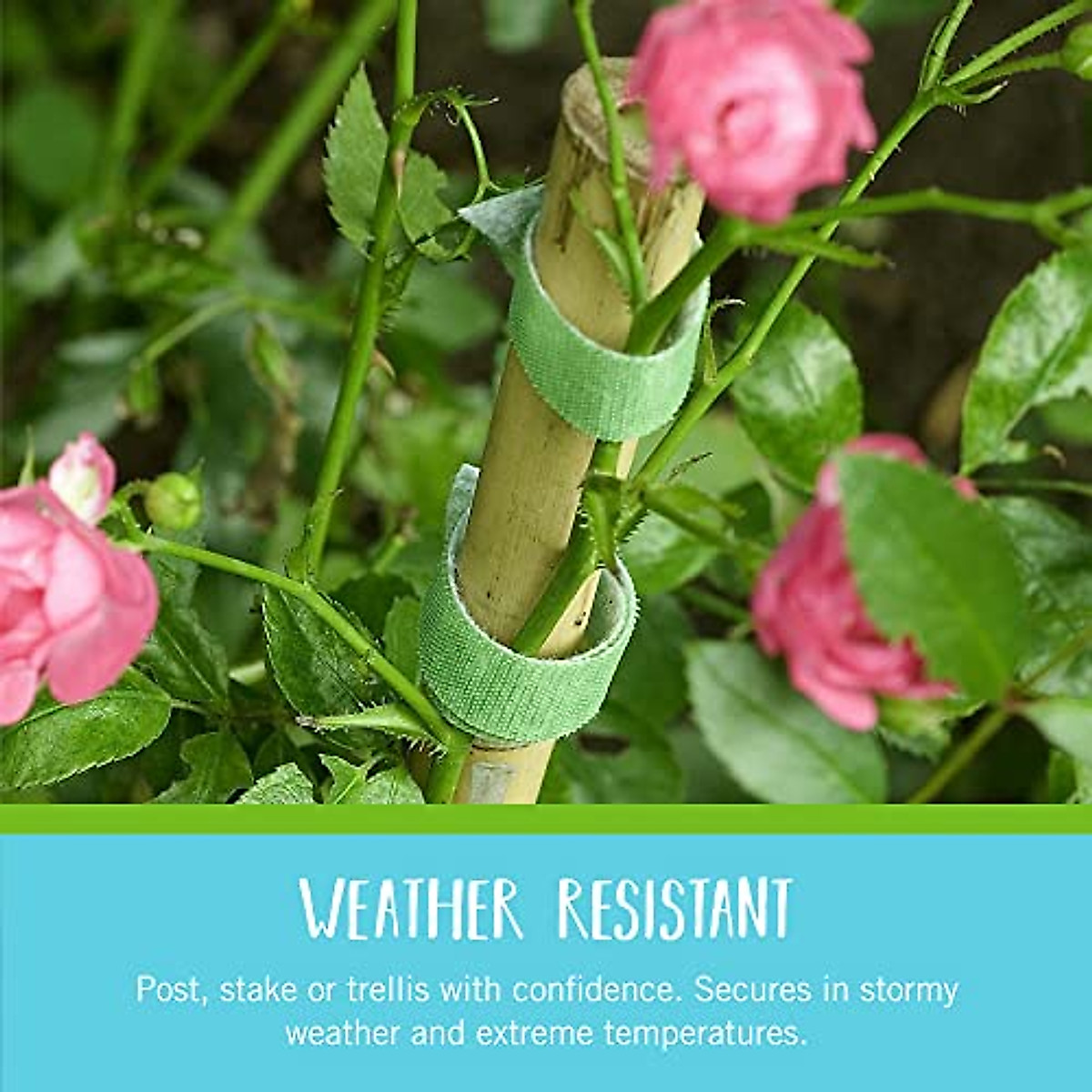 VELCRO Brand 90648 ONE-WRAP Garden Ties | Plant Supports for Effective Growing | Strong Grips are Reusable and Adjustable | Cut-to-Length, 75 ft x 1/2 in, Green-Recycled Plastic