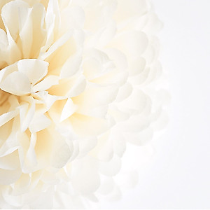 NICROHOME Boho Bridal Shower Decorations, Rustic Neutral Creamy White Tissue Paper Pom Poms Tassel, Dots Paper Garland Decorations Packages for Wedding Baby Shower Birthday Party Table Decorations