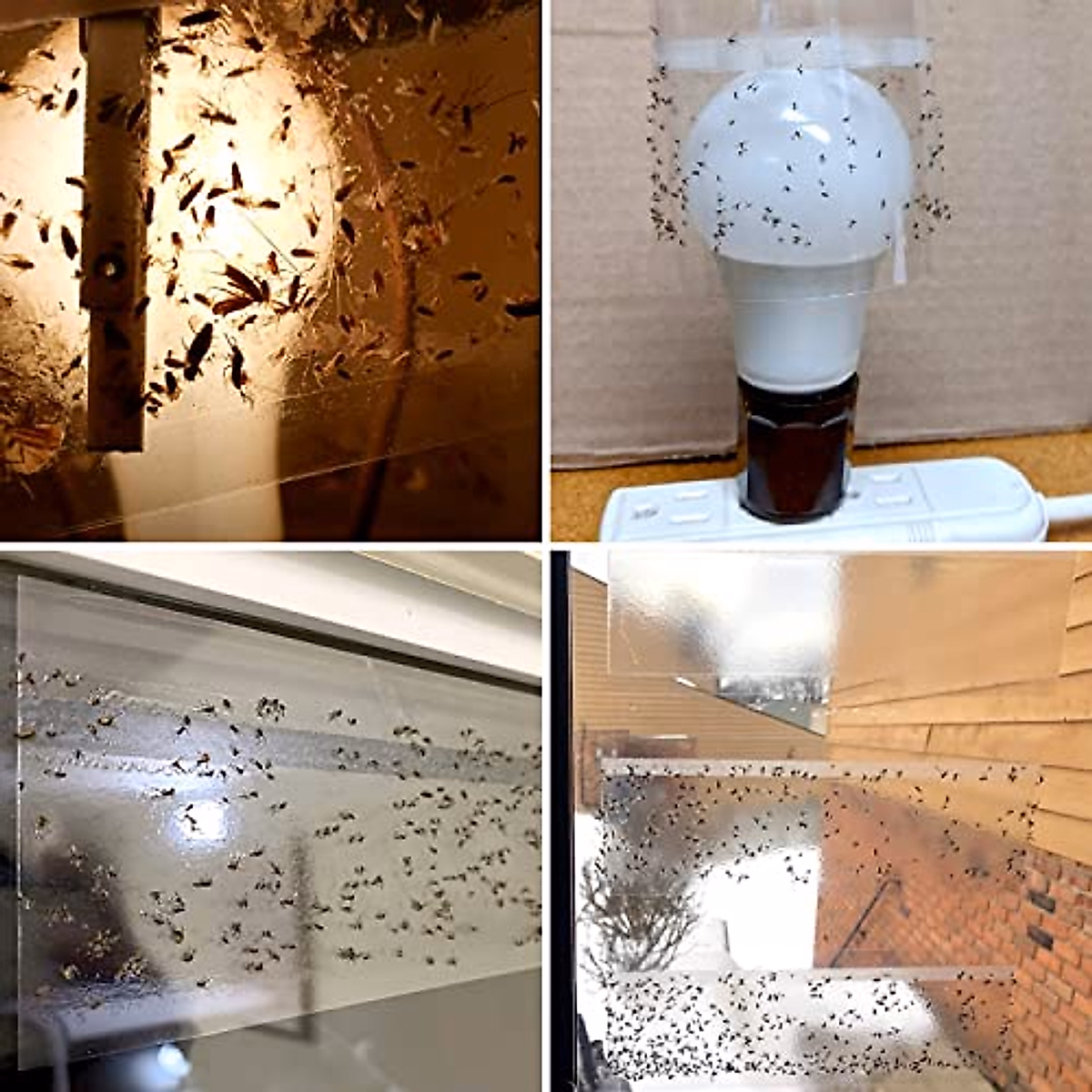 LFSYS 50 Pack Window Fly Traps, Fruit Fly Traps for Indoors, Fly Paper Sticky Strips, Fly Traps for Indoors Clear