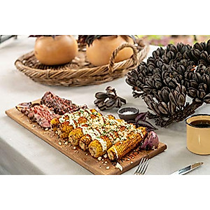 Megamaster Premium Outdoor Cooking 2-Burner Grill, Outdoor Cooking While Camping, Outdoor Kitchen, Patio Garden, Barbecue with Two Foldable legs, Silver in Stainless Steel