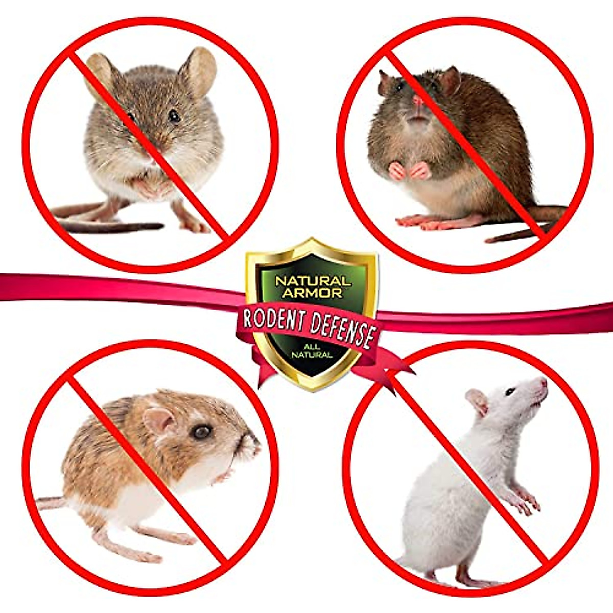 Natural Armor Peppermint Repellent for Mice/Mouse, Rats & Rodents. Natural Spray for Indoor & Outdoor Use Rodent Shield - 128 Fl Oz Gallon Refill, Case of 4