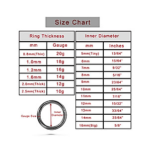 16G Conch Piercing Jewelry CZ Cartilage Earrings Hoop 316L Surgical Steel Nose Hoop 10mm Helix Piercing Jewelry Rook Ring16 Gauge Segment Nose Hoop Ring Segment Helix Rings Earrings Lip Ring Silver