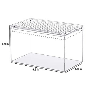 NANEEZOO Magnetic Acrylic Enclosure, 10x6x6 Inch Tall Long Case Reptile Habitat Terrarium cage for Terrestrial Arboreal Tarantula Scorpion Sling Isopods Lizards Invertebrates Insect Mantis