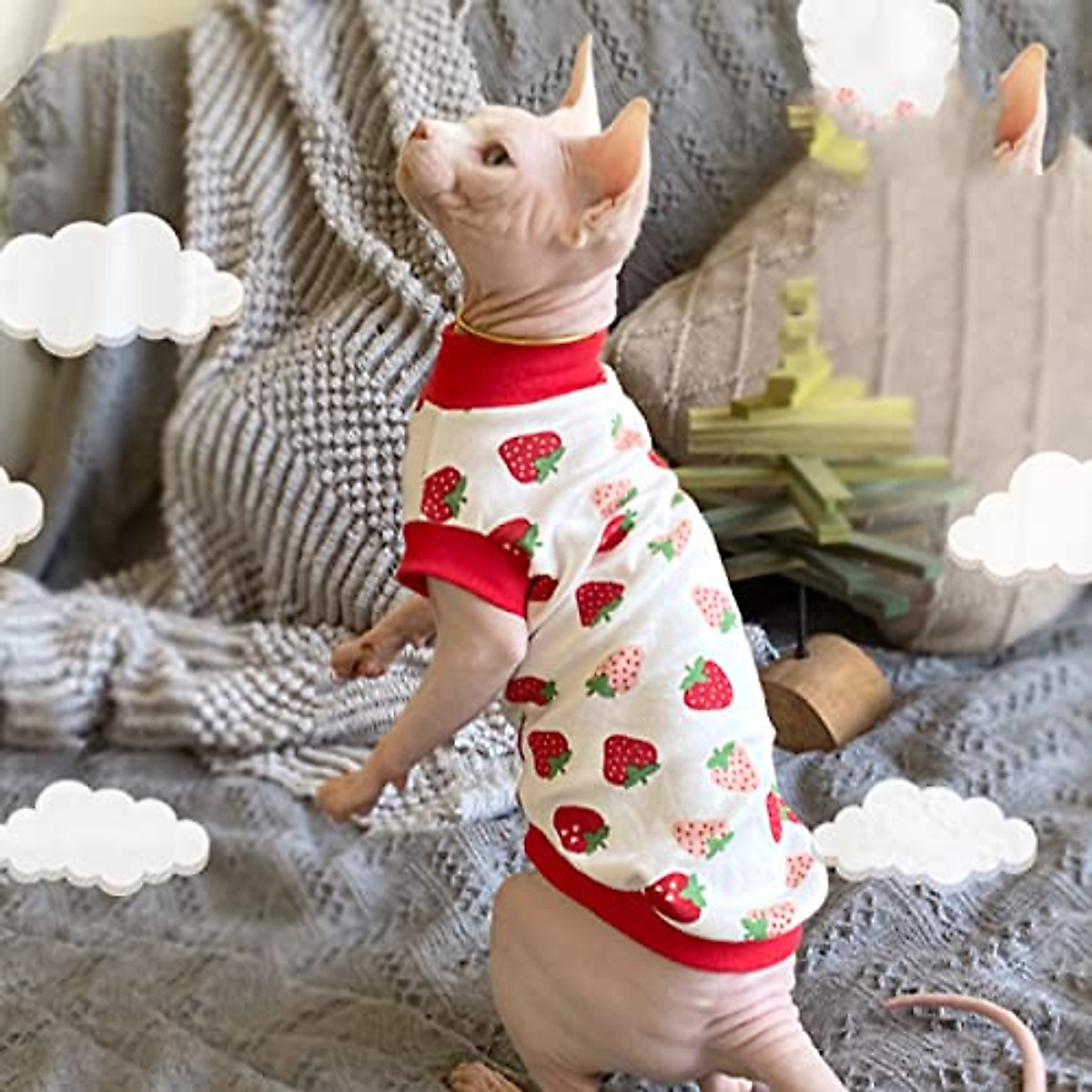 Sphynx Cat Summer Clothes for Cats Only Pattern Cotton T-Shirts Soft Breathable Pullover Vest with Sleeveless Kitten Shirts for Sphynx (L（7.3-9.7lbs）, Strawberry)