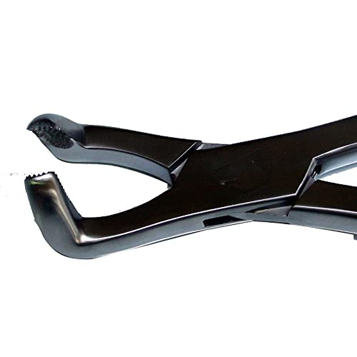 19" Equine Stable Fragment Forceps, with Pouch, Stainless Steel Equine Dental