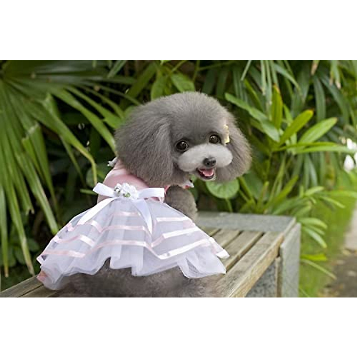 Clopon 3 Pcs Dog Dress for Puppy Yorkie Pet Clothes Small Medium Dogs Tutu Harness Dresses Apparel S