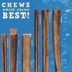 Jack&Pup 6 Inch Bully Sticks for Medium Dogs | Thick Odor Free Bully Sticks Long Lasting | All Natural, 100% Beef Pizzle Sticks (Thick 5, Pack)