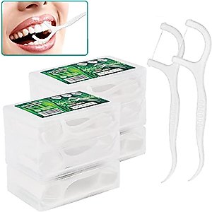 LEEGAWU Dental Floss Travel Floss Professional Toothpicks Sticks Dental Floss Picks Flossers with Travel Case Superfine Floss Picks Dental Picks for Teeth Cleaning (300count)