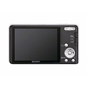 Sony DSC-W350 14.1MP Digital Camera with 4x Wide Angle Zoom with Optical Steady Shot Image Stabilization and 2.7 inch LCD (Silver)