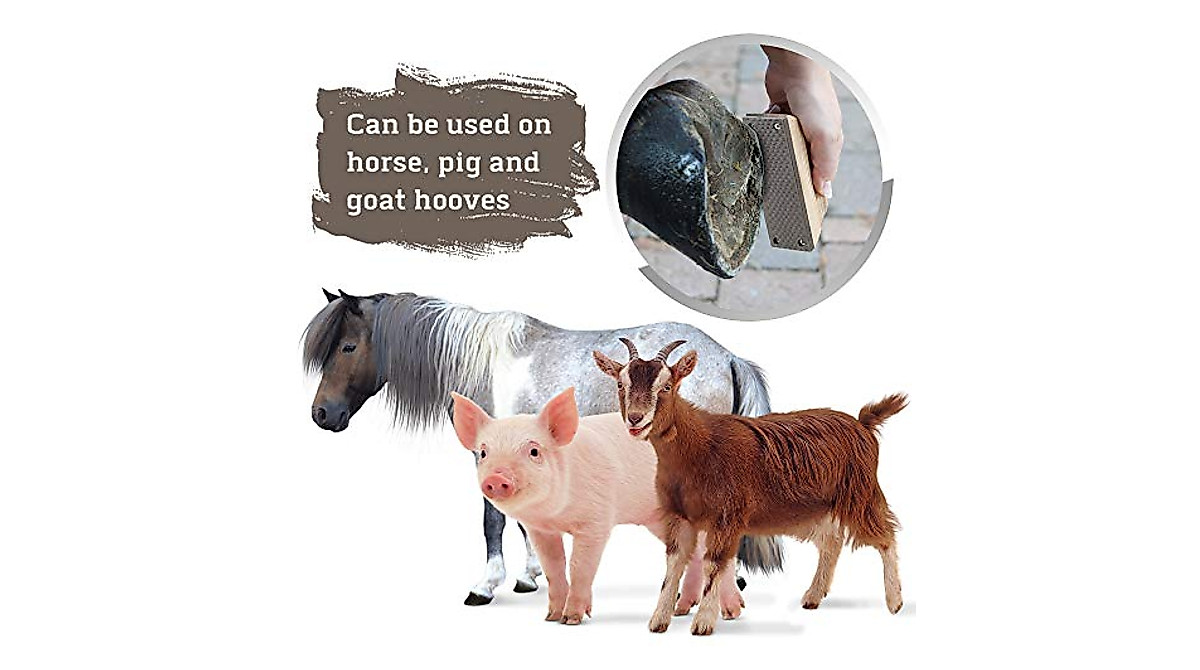 Rural365 Mini Hoof Rasp – Perfect for Mini Horses and Goats