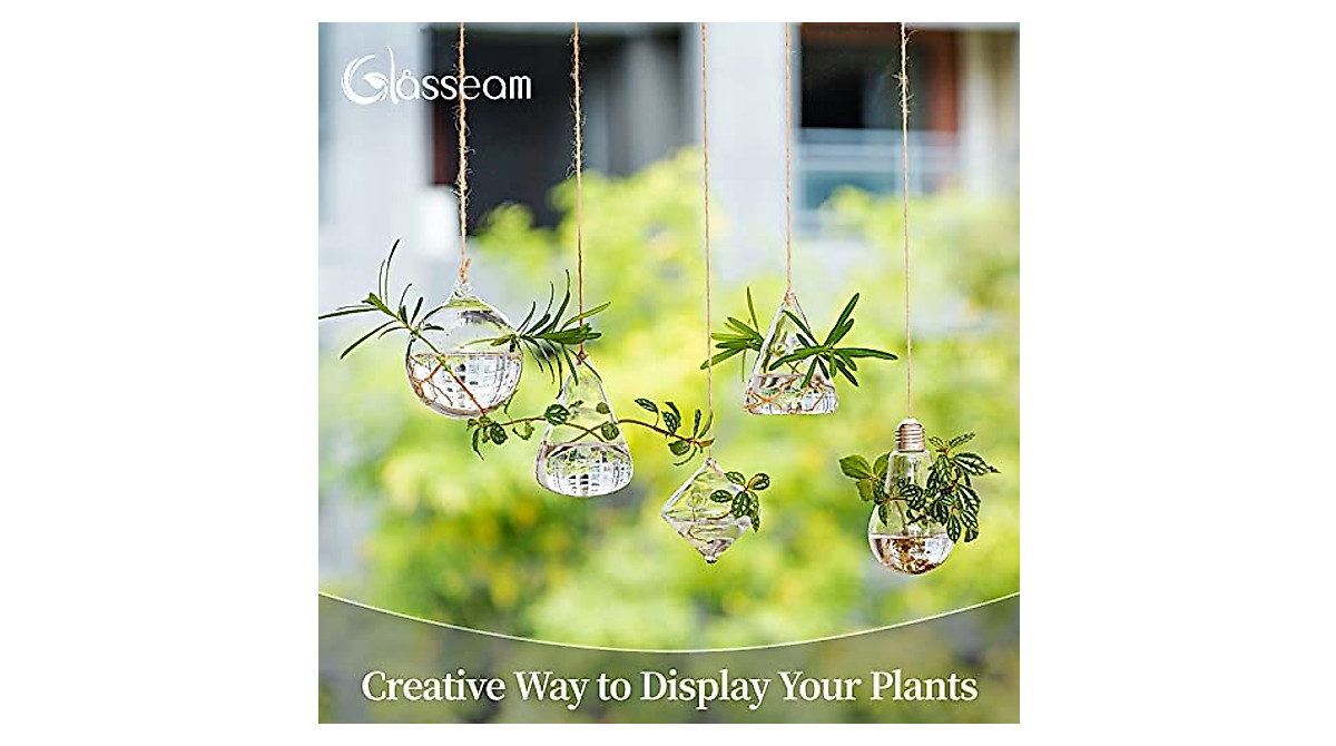 Modern Hanging Glass Planter Set for Indoor Plants