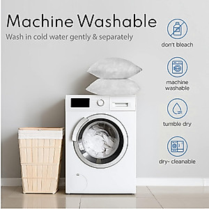 Premium 23x23 Inch Decorative Throw Pillow Inserts - (Pack of 2 White) | Goose Feathers & Duck Down Fill | 100% Cotton Cover | Plush and Breathable | 233 Threads Count