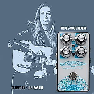 Laney Electric Guitar Single Effect, Black (BCC-Secret Path)