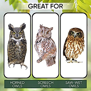 SDMOutdoor North American Screech Owl House, Wooden Owl Nesting Box, Screech Owl, Barn Owl. No Assembly Required Includes All Hardware. Cedar Nesting Box.