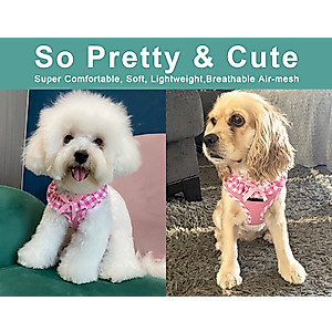 SuperBuddy Upgraded Soft Mesh Dog Harness, Super Breathable Lightweight Pet Harnesses for Puppy Dogs Outdoor Walking, Pink Dog Harness and Dog Leash Set Packing -Medium