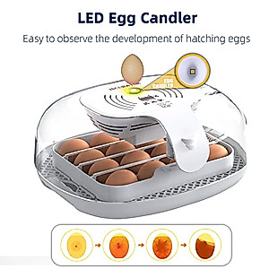 Egg Incubator, 16 Incubators for Hatching Eggs with Automatic Egg Turning, Egg Candler and Automatic Water Adding for Hatching Chickens, Ducks, Goose, Quails & 4 Wooden Eggs