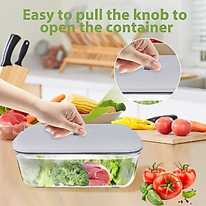 Vacuum Seal Storage Container Starter Kit (2L/half-gallon x1), with Handheld Automatic Pump & 6 Vacuum Bags, Vacuum Container for Food Storage, Airtight Food Preservation -BPA Free, Freezer Safe