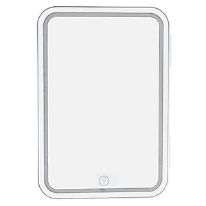 NESLIN 8L Refrigerator Vanity Mirror Two-in-One Large Capacity Portable Dresser Vanity Mirror Car Bedroom Mini Small Refrigerator