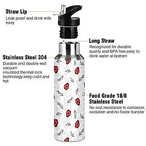 Ladybugs Funny Spring Pattern Insulated Water Bottle with Straw, Stainless Steel Sports Water Bottles, Double Wall Vacuum, Leakproof, BPA-Free 35 oz