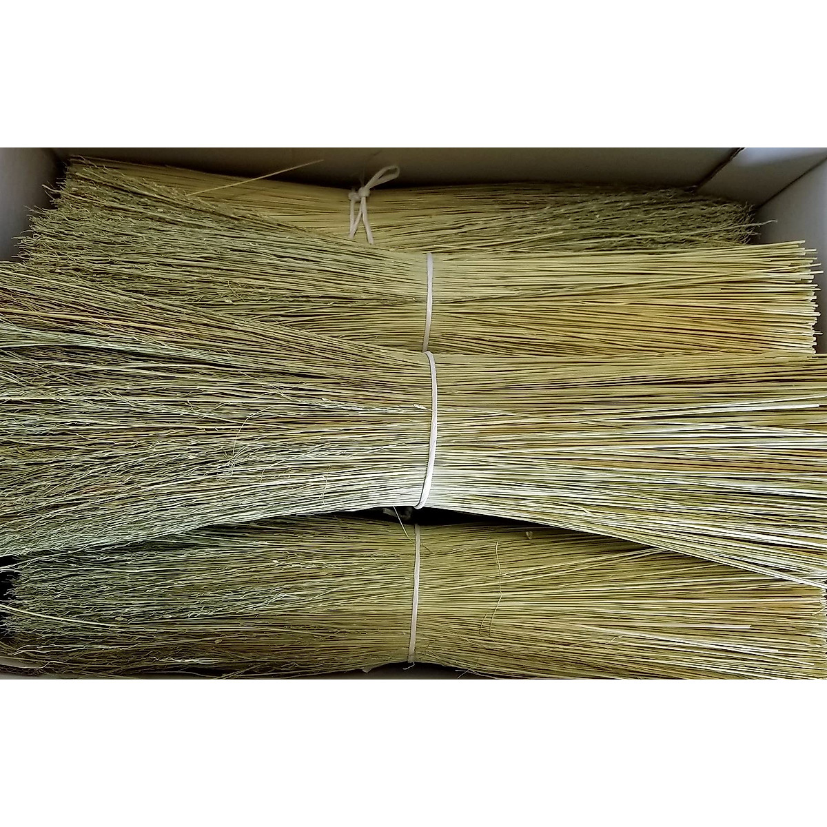 Broom Corn for Crafting and Broom Making 5 Pound Bundle 20" Length (Broom Corn)