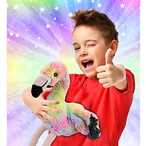DolliBu Plush Flamingo Stuffed Toys - Super Soft Huggable Flamingo Plush Kit, Adorable Tropical Bird Plush Toys, Cute Flamingo Cuddle Gifts for Kids and Adults - 2 Pack