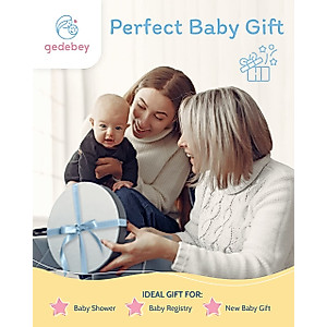 Baby Fruit Feeder Pacifier - 3 Pack | 2 Frozen Fruit Teething Pacifier & 1 Baby Food Spoon Feeder | Baby Silicone Feeder Pacifier | Teething Feeder, Baby Food Feeder Fruit Pacifier (Colorful)