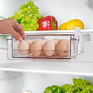 Modest Homeware Adjustable Fridge Organizer Food Storage Drawer - Strong Clear PET Plastic - Removable 28 Egg Holder Tray - Saves Space In Fridge - Fits Most Fridges - Easy Installation Transparent