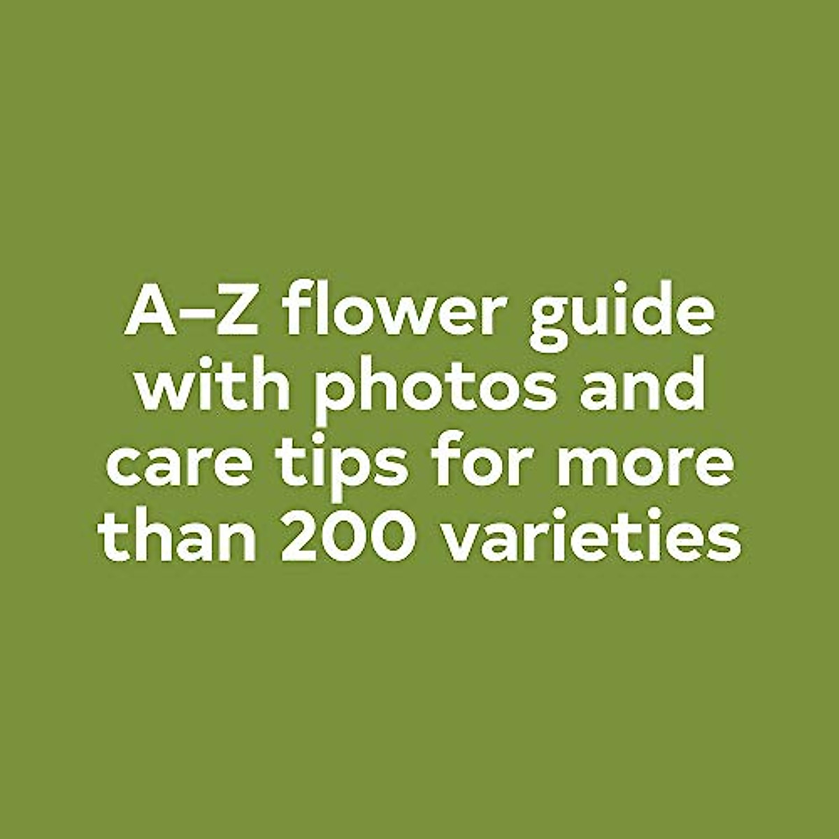 Floret Farm’s A Year in Flowers: Designing Gorgeous Arrangements for Every Season (Floret Farms x Chronicle Books)