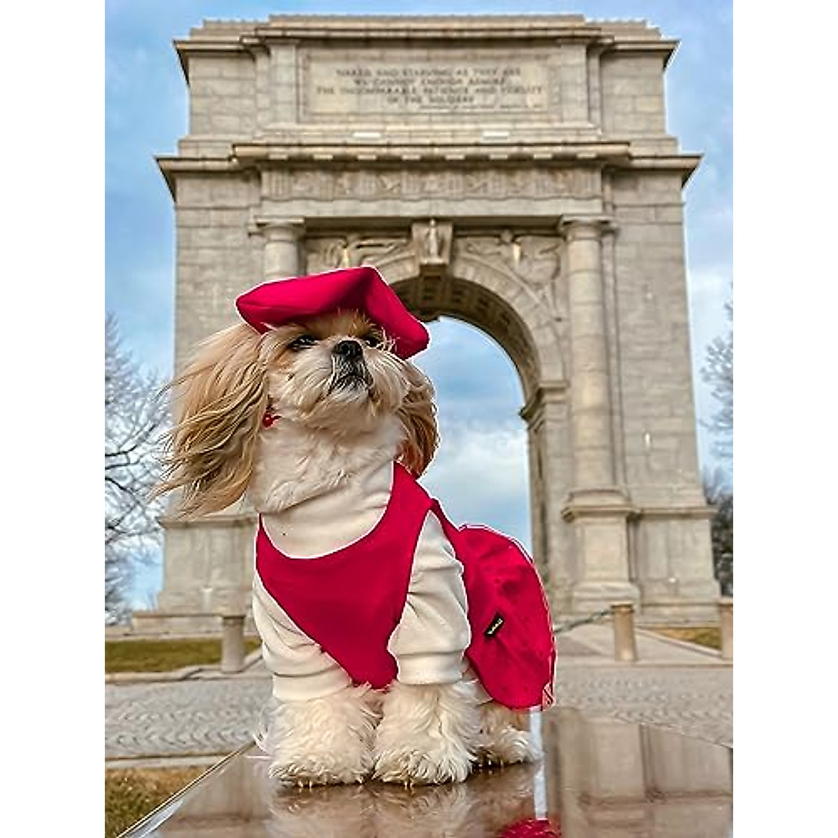 Fitwarm 2-Pack Dog XOXO Tulle Dress, 100% Cotton Dog Clothes for Small Dogs Girl, Cat Apparel, Red, XS