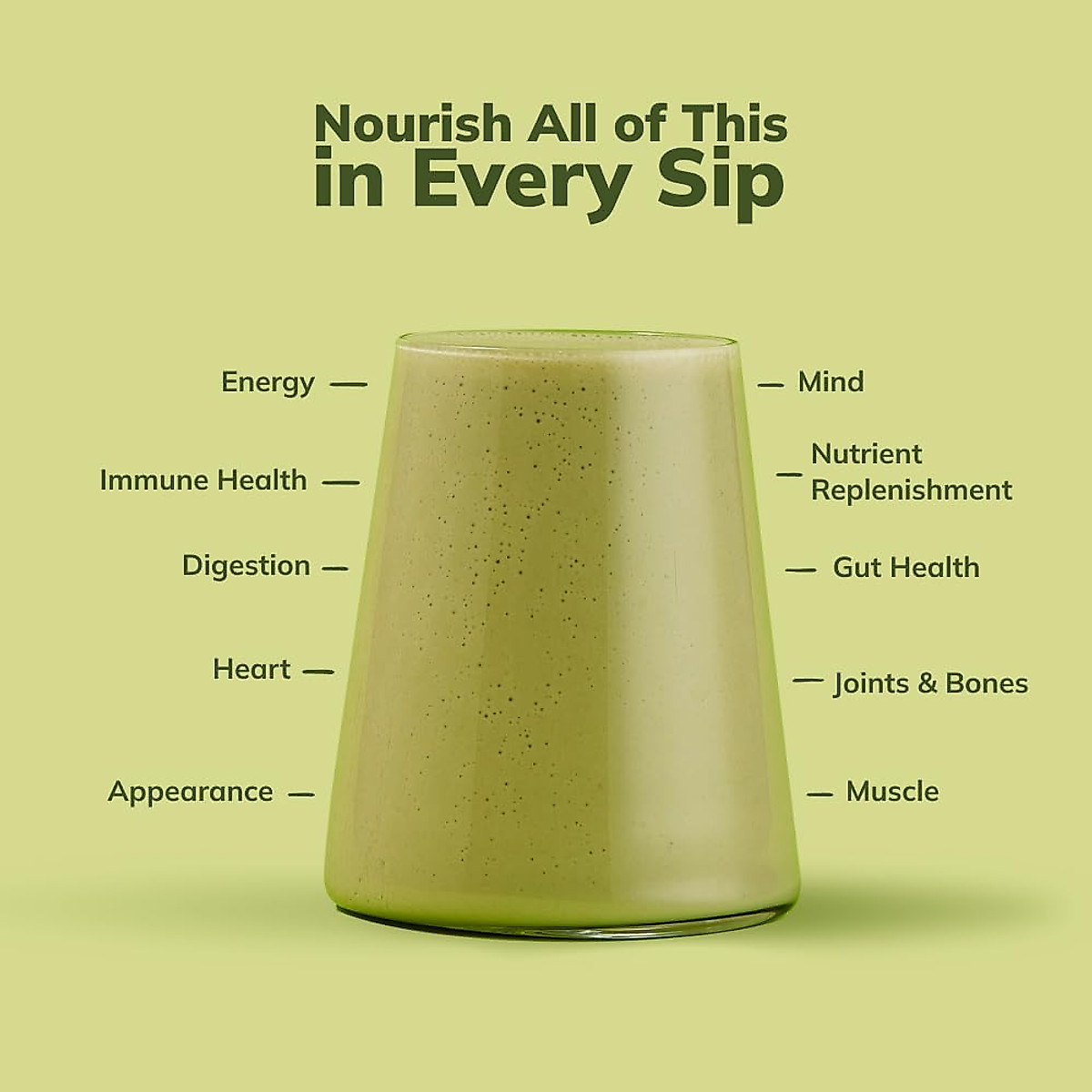 Ka'Chava Ka’Chava All-In-One Nutrition Shake Blend, Matcha, 85+ Superfoods, Nutrients & Plant-Based Ingredients, 26 Vitamins and Minerals, 25g Plant-Based Protein, 2lb