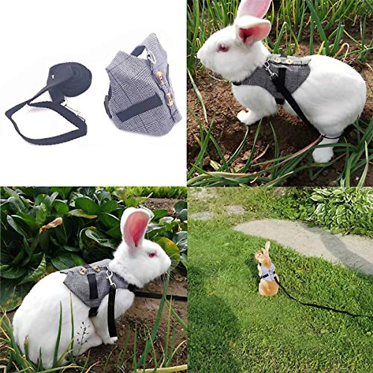 Wontee Rabbit Vest Harness and Leash Set Adjustable Formal Suit Style for Bunny Kitten Small Animal Walking (M)