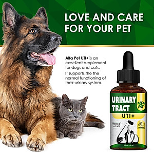 Cat Urinary Tract Infection Treatment • Dog UTI Treatment • Dog & Cat Urinary Supplement • Care for Bladder & Kidney • Herbal Composition • 2 Oz